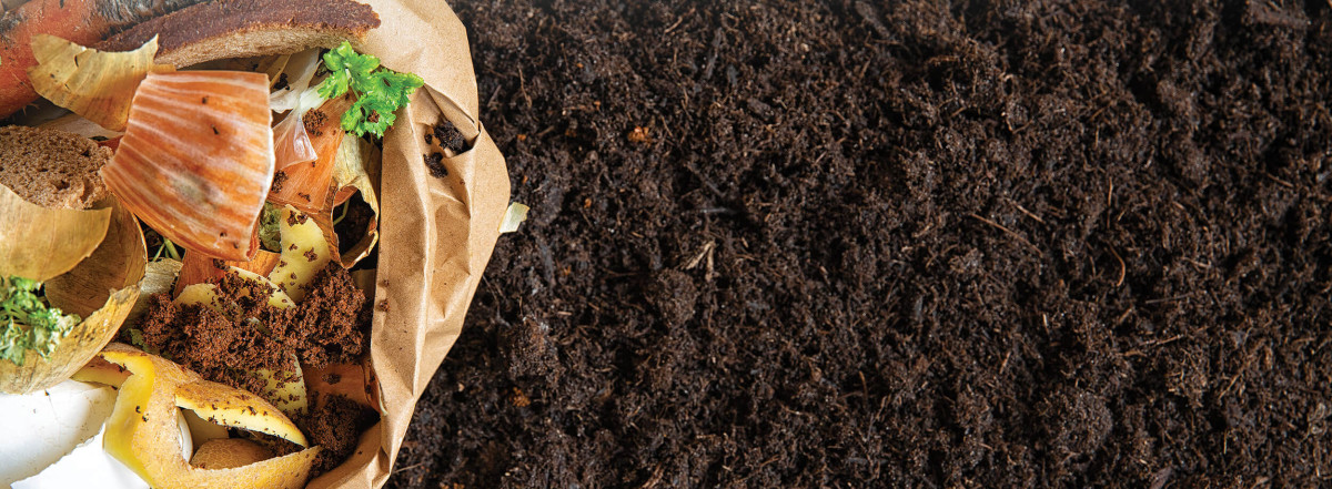 How Food Scraps Can Provide a Sustainable Future | Rockland Green