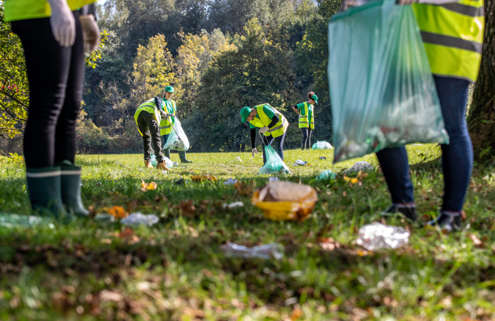 Throwing Away Trash at the Park and Beach | Rockland Green